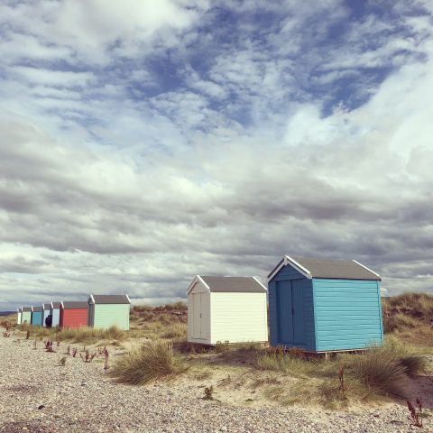 The Snow Roads - Wild Rovers